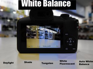 Mastering White Balance in Photography: Bringing Colors to Life — RICK ...