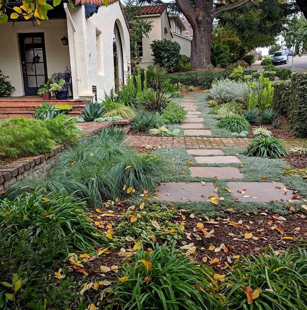 Spanish Revival — Plant Stars