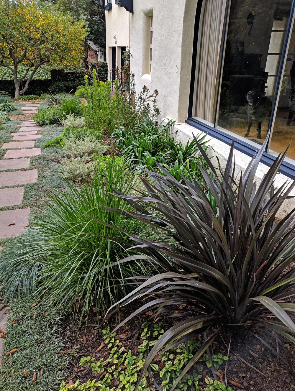 Spanish Revival — Plant Stars