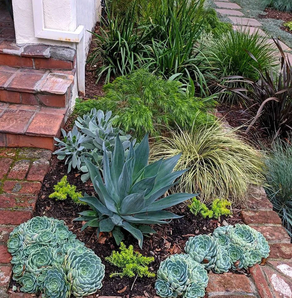Spanish Revival — Plant Stars