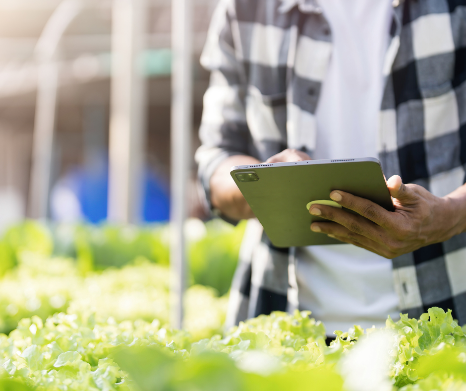 Farm Assurance Schemes — 4RReassurance