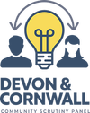 GOWISELY — Devon & Cornwall Community Scrutiny Panel