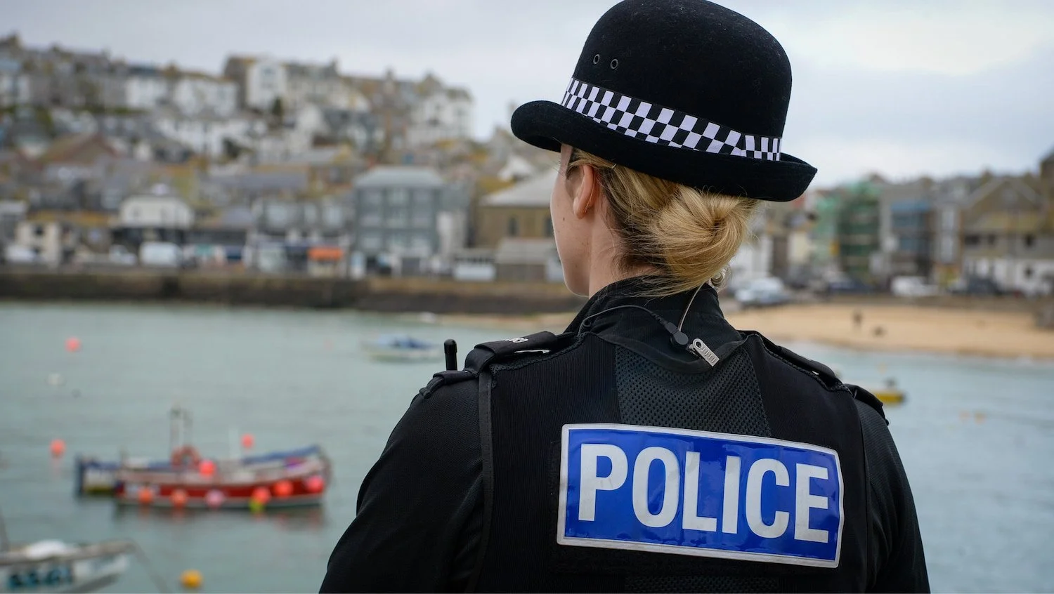 Scrutiny Panel — Devon & Cornwall Community Scrutiny Panel