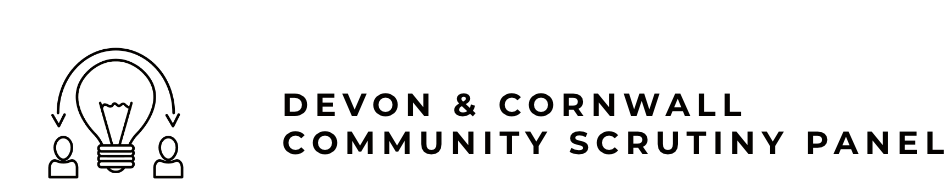 Selection process — Devon & Cornwall Community Scrutiny Panel