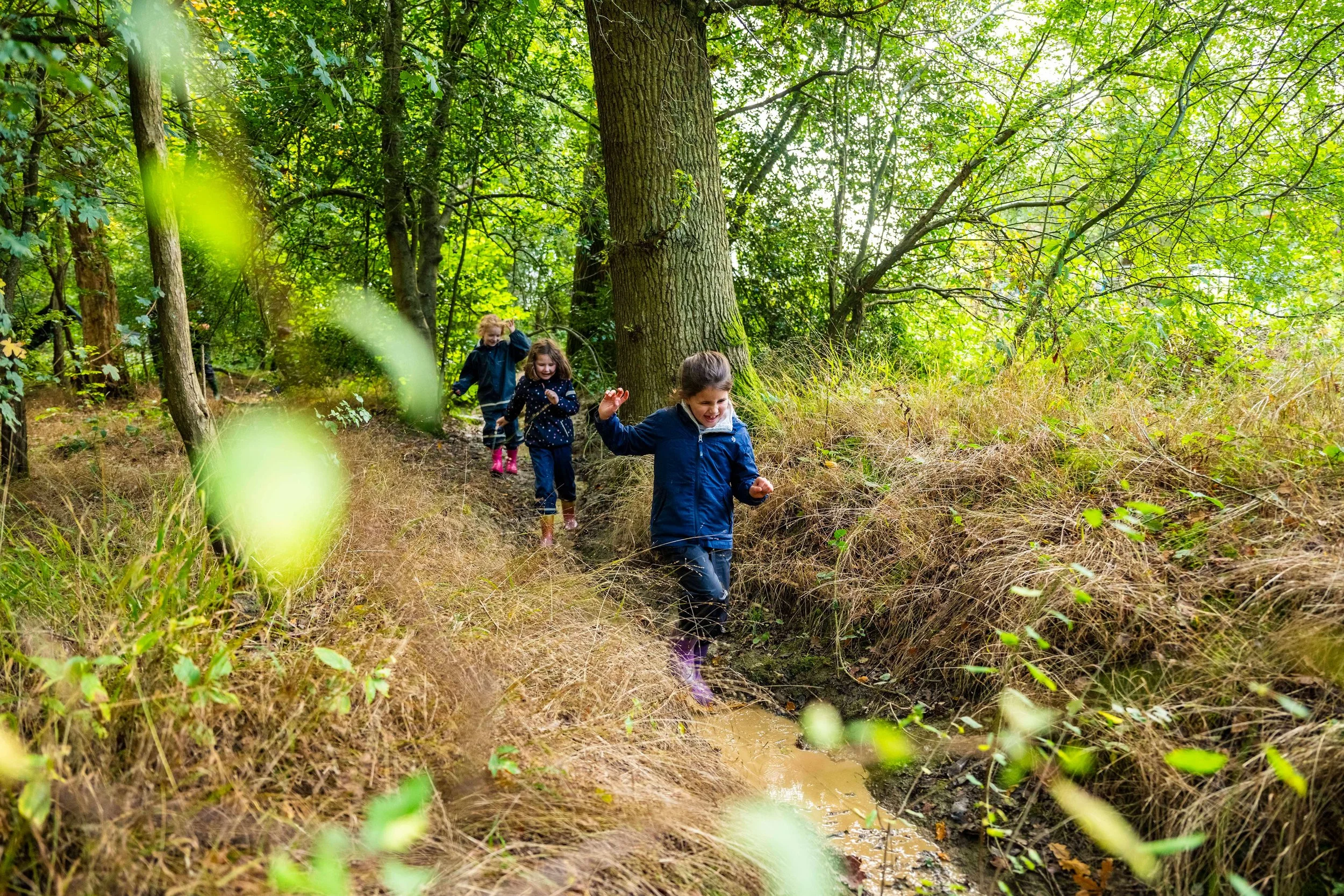 Farlington School — EDUCATUS