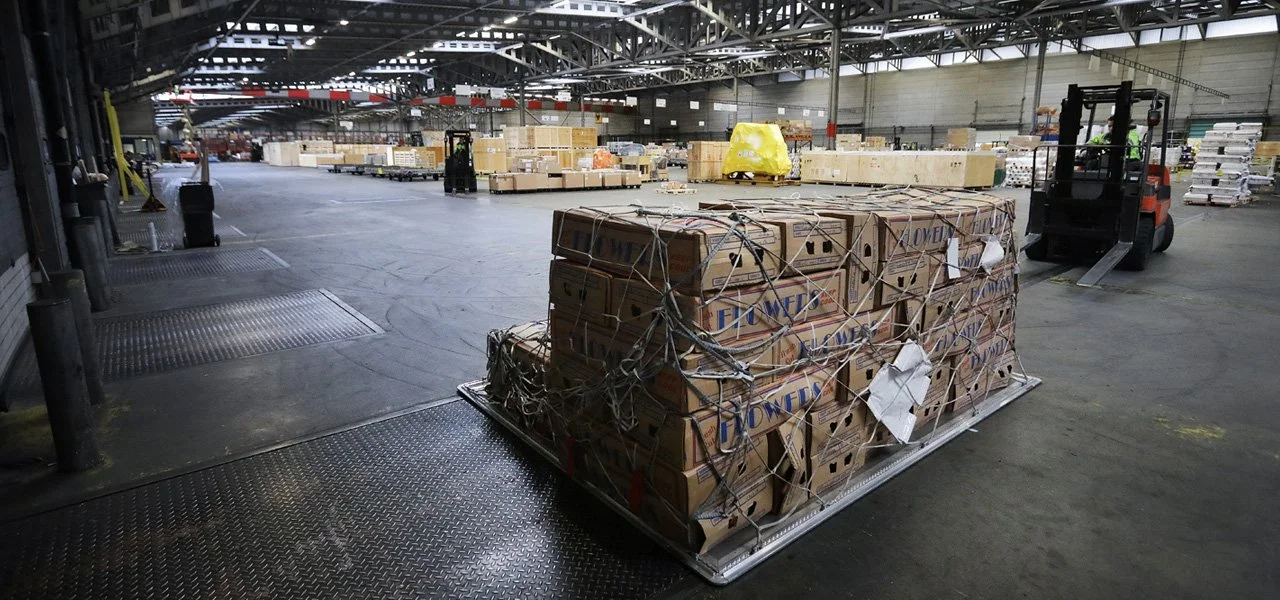 Our Services — IPHandlers