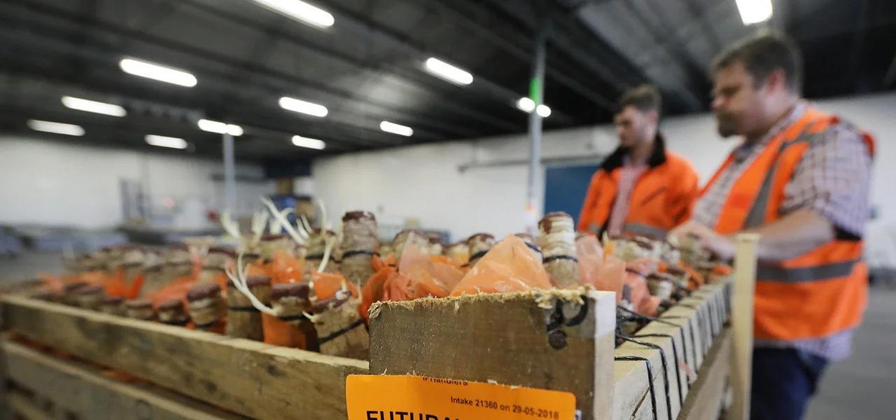 About Us — IPHandlers