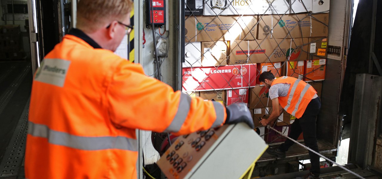 Our Services — IPHandlers