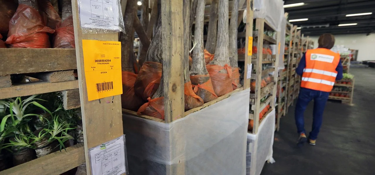 Quality — IPHandlers