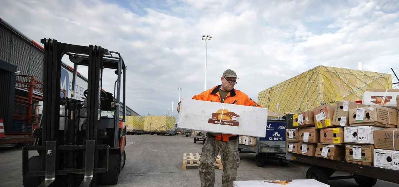 About Us — IPHandlers