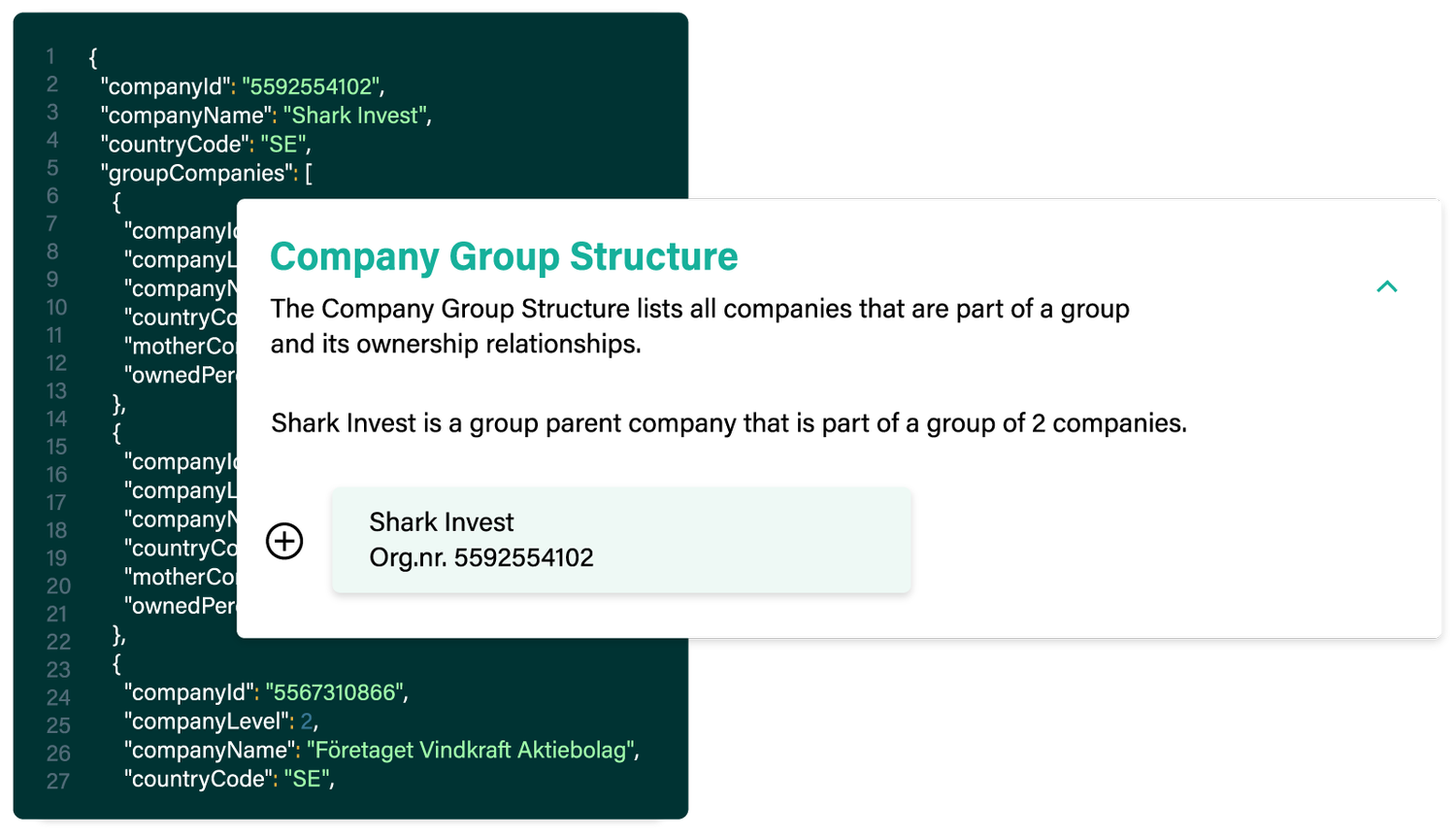 Company group structure – Roaring