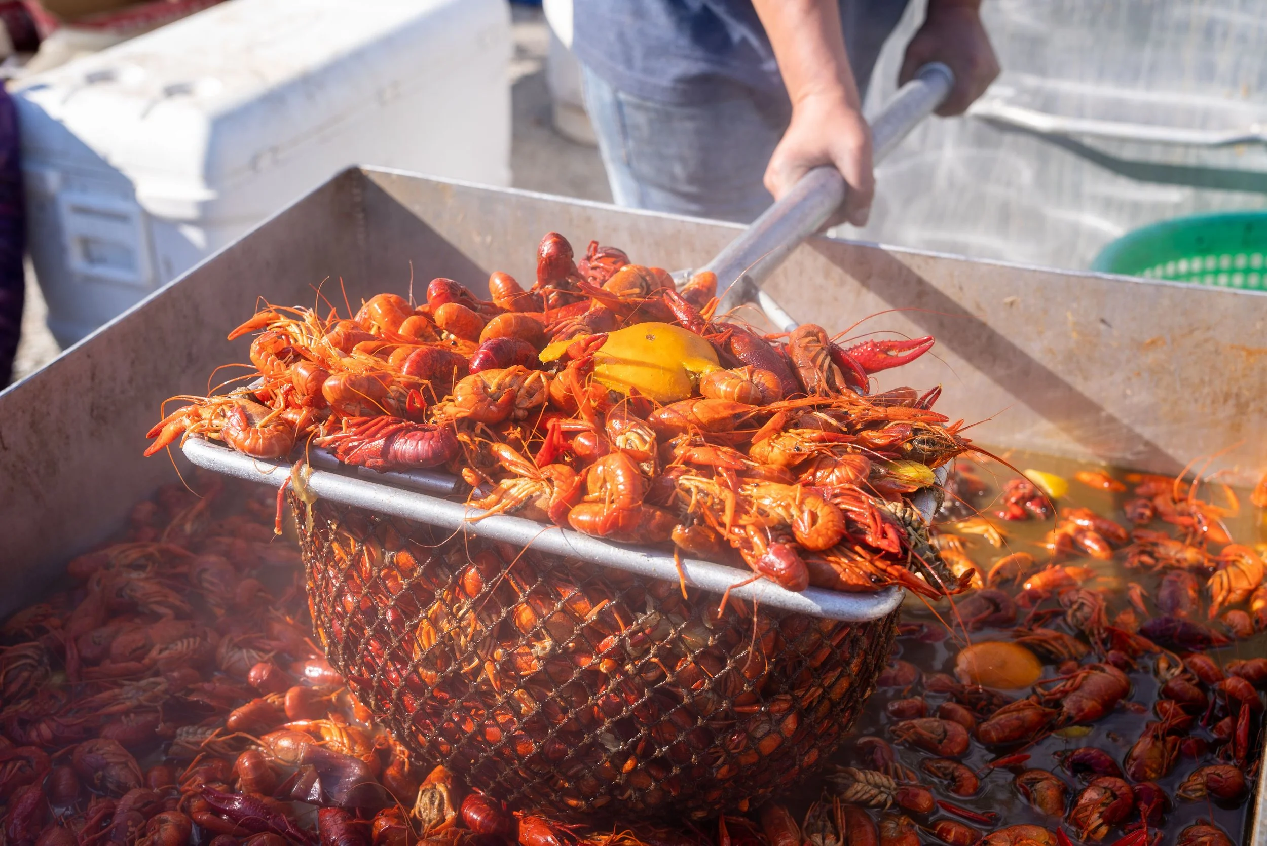 Crawfish Festival — MidCity District