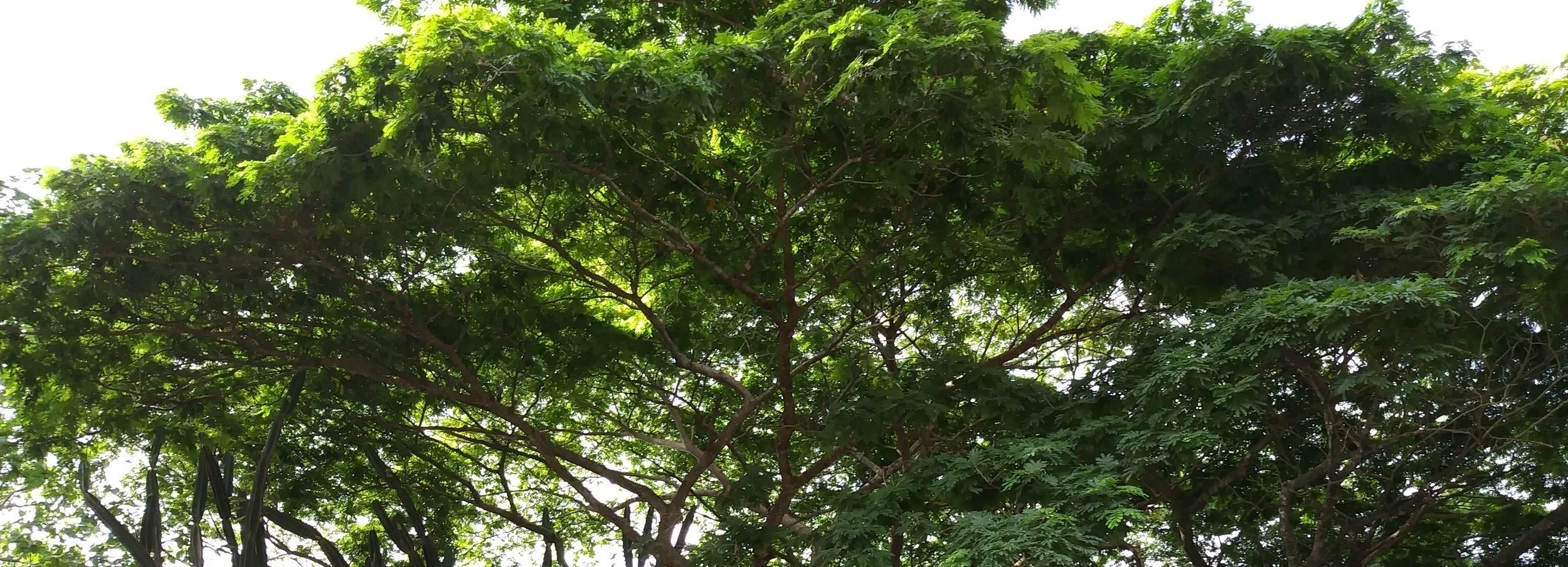 Contact Us — Cairn Counseling