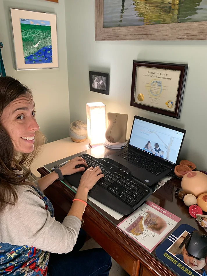 Prepare for your Virtual Visit — Community Lactation and Parenting