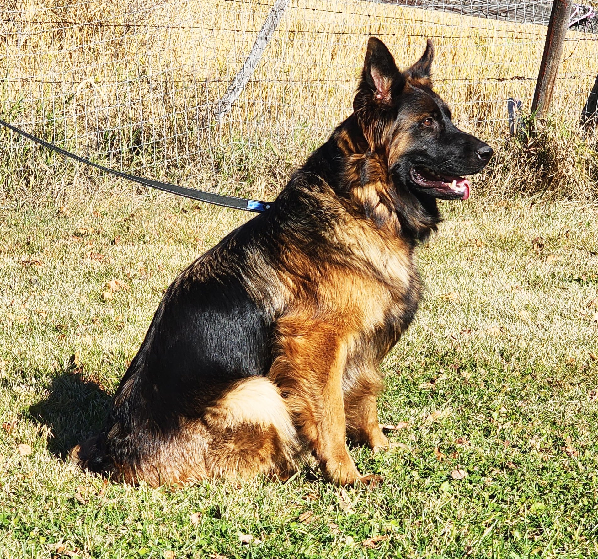 Carmen Vom Ermeland — Vom Eistobel