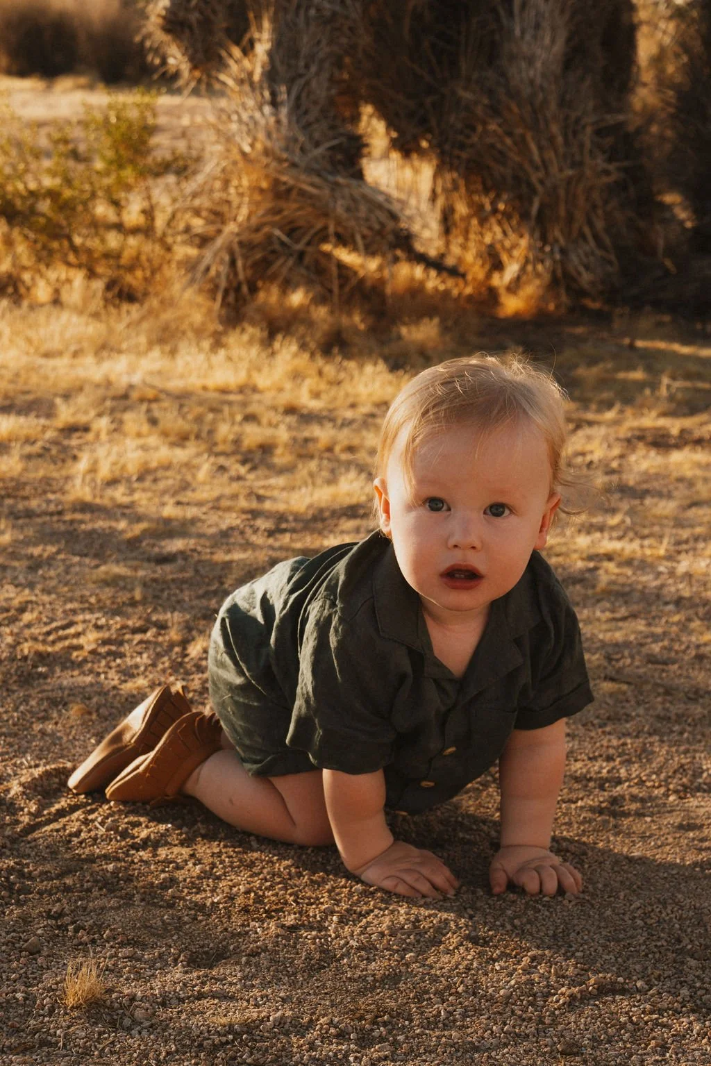 Joshua Tree Family Photo Session | The Mallis Family — Moments by Bray ...