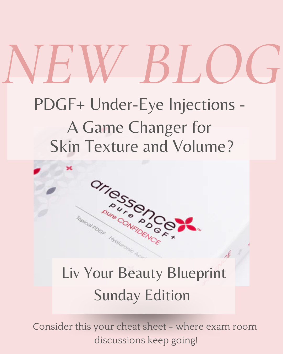 Liv Your Beauty Blueprint — Liv Esthetics