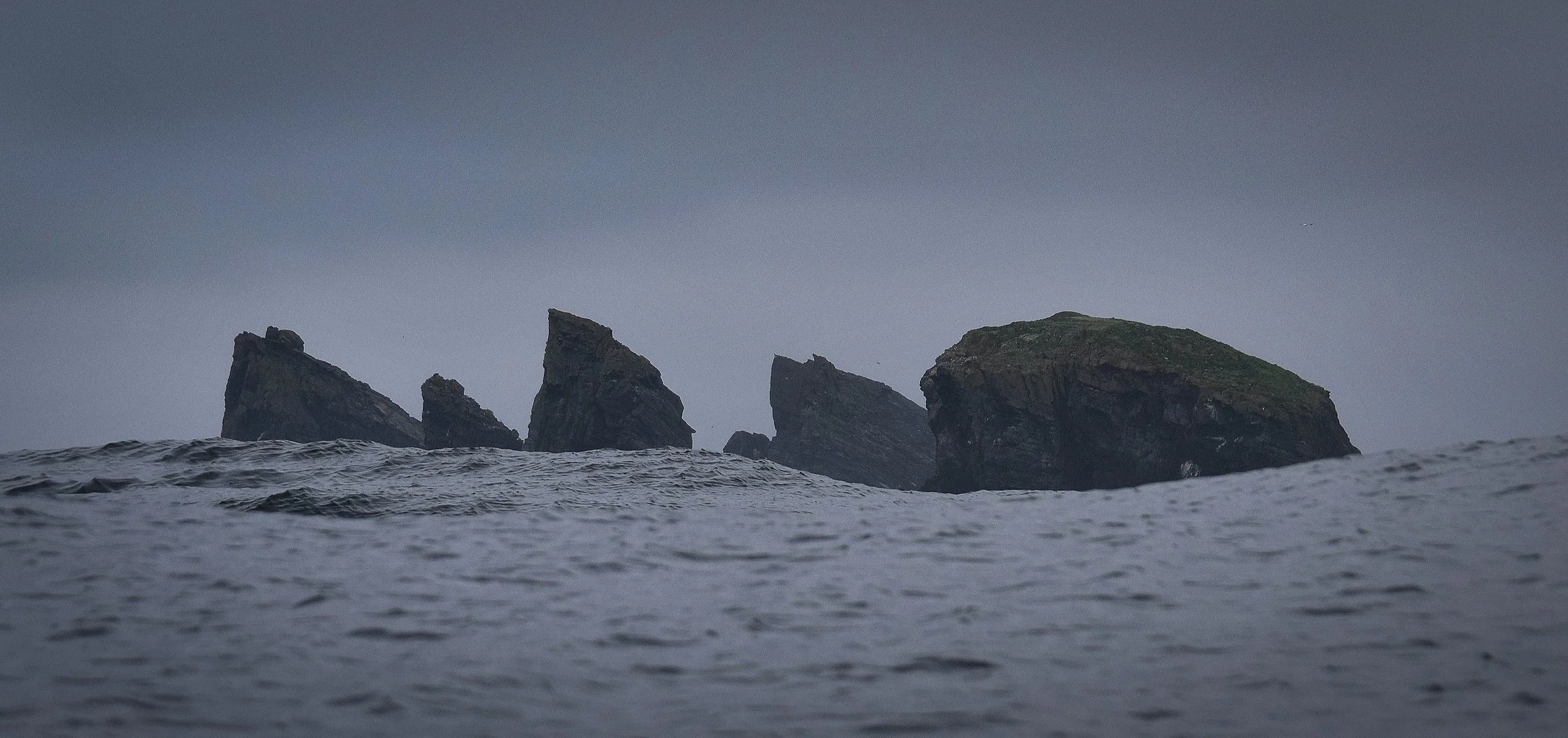 Books — David Gange