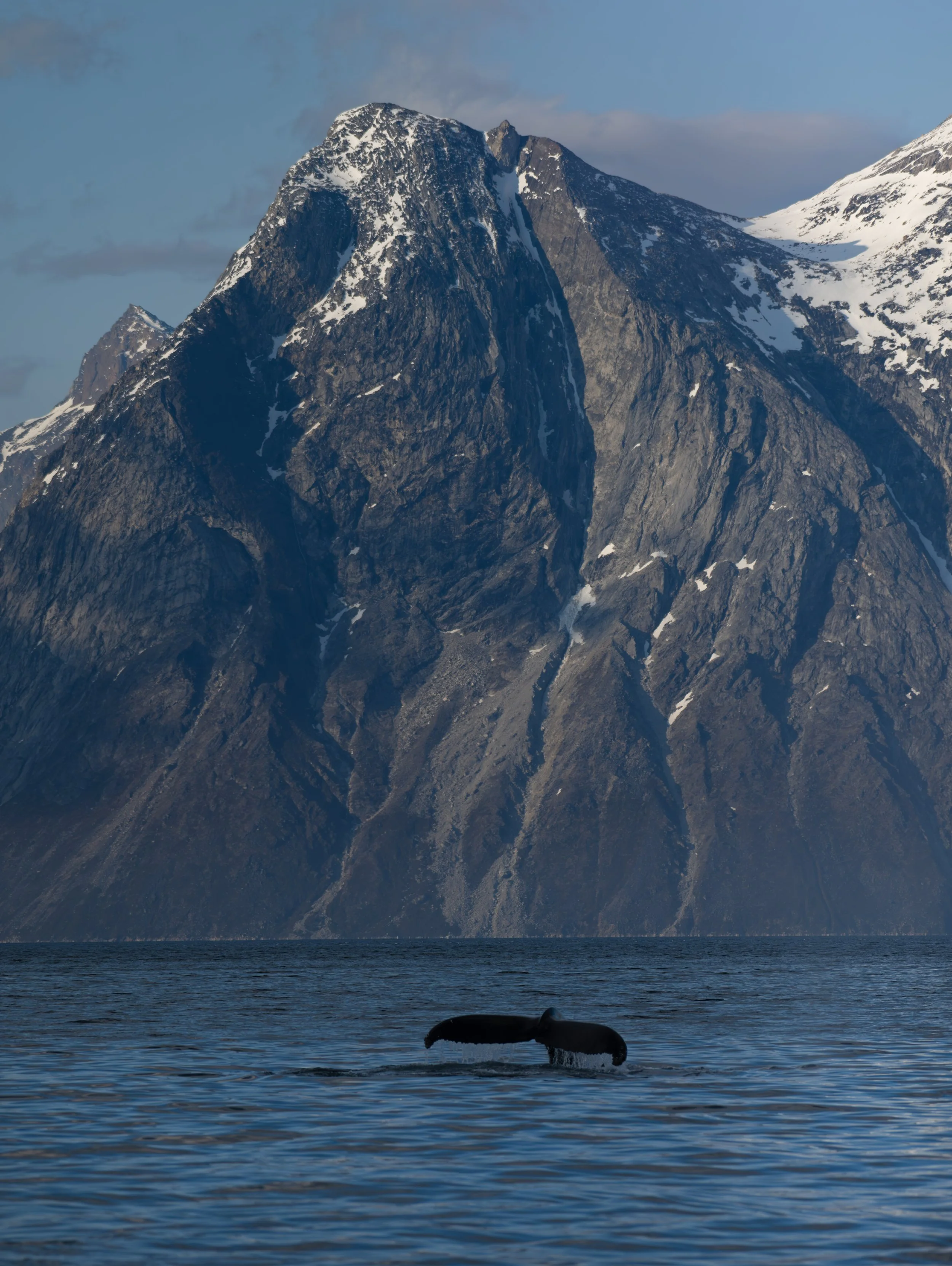 About — David Gange