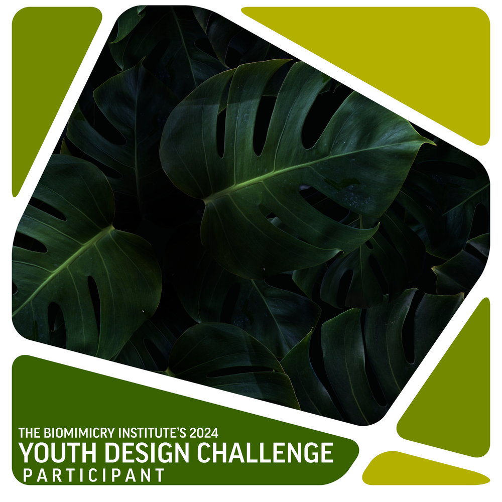 YDC Media Kit — Biomimicry Youth Design Challenge