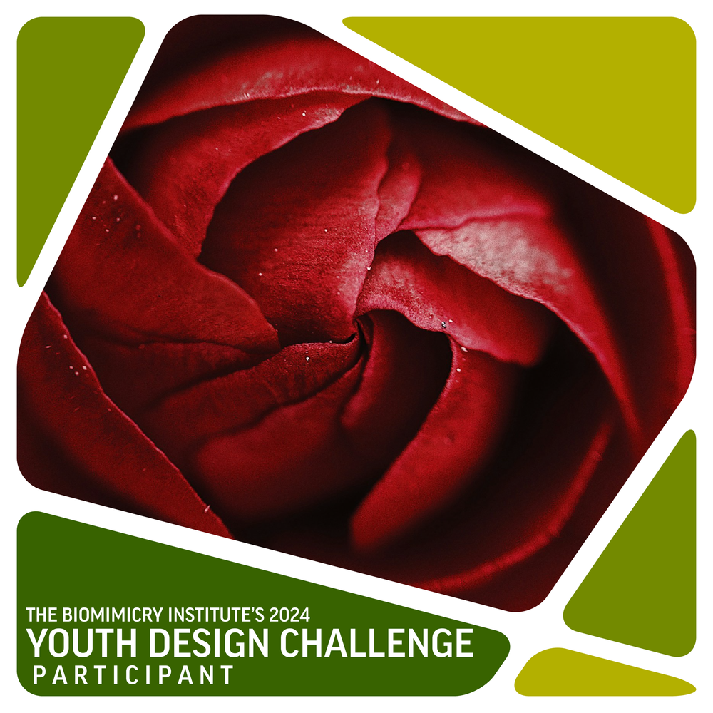 YDC Media Kit — Biomimicry Youth Design Challenge
