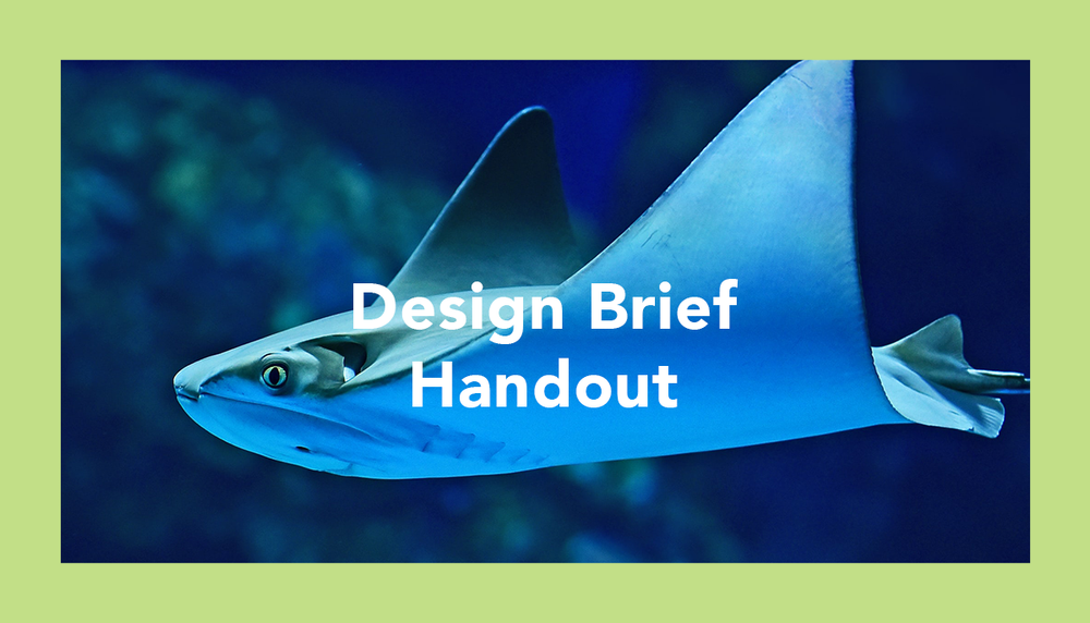 Resources — Biomimicry Youth Design Challenge