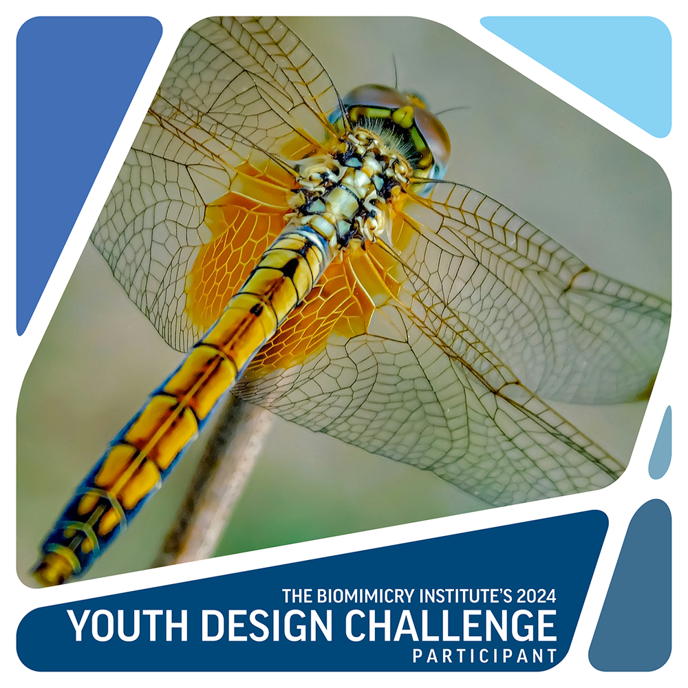 YDC Media Kit — Biomimicry Youth Design Challenge