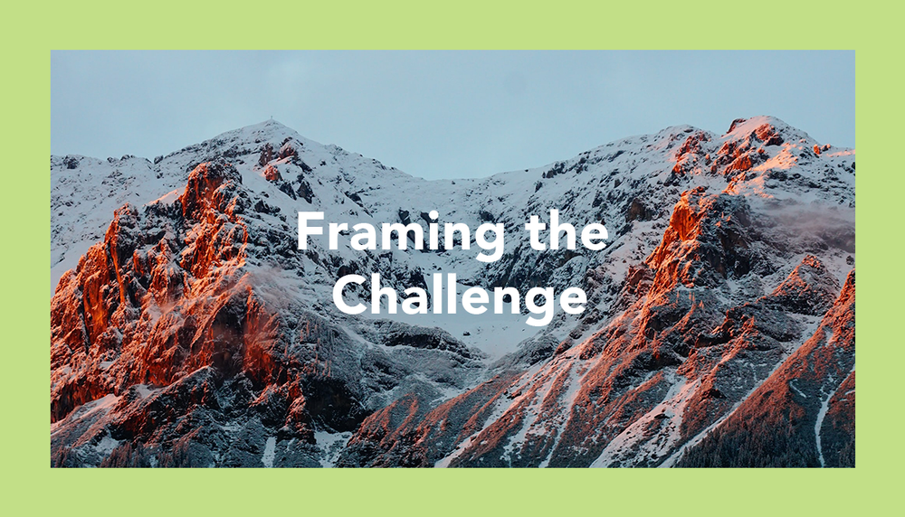 Resources — Biomimicry Youth Design Challenge