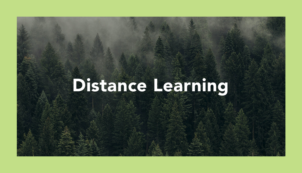 Resources — Biomimicry Youth Design Challenge