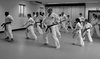 Shotokan Ryu Karate Kyokai Kokusai