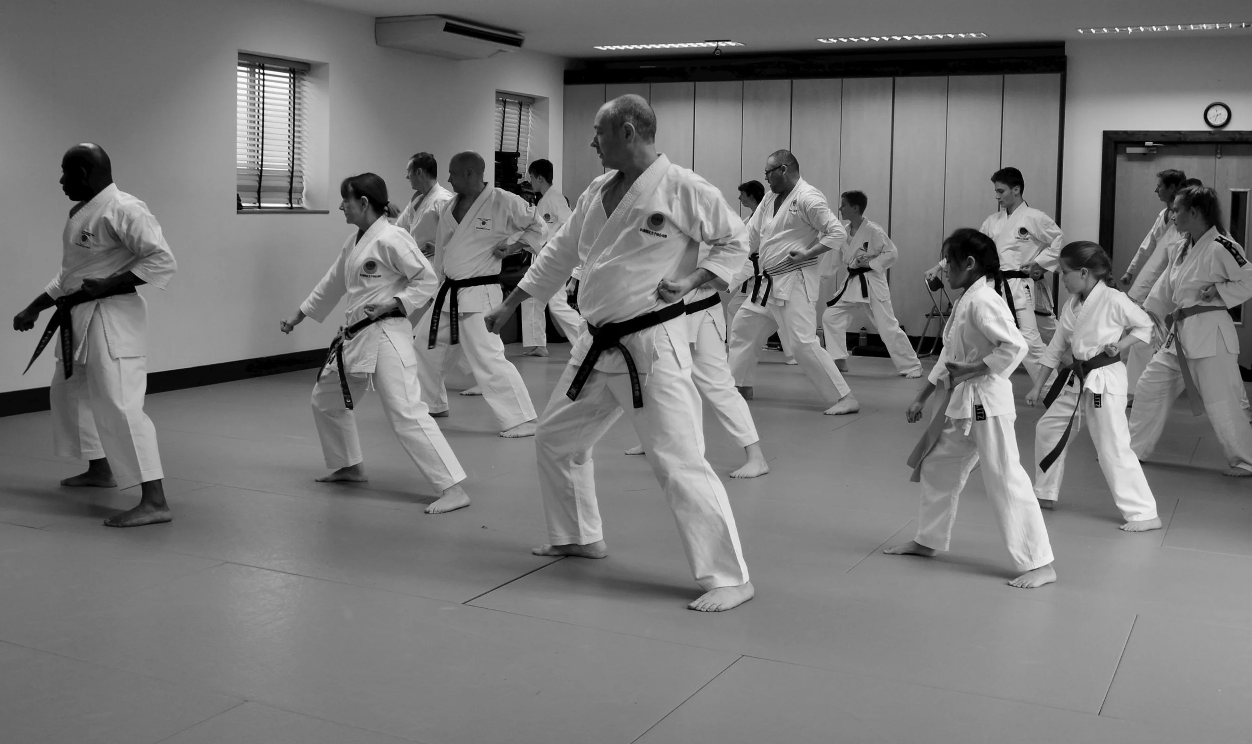 Shotokan Ryu Karate Kyokai Kokusai