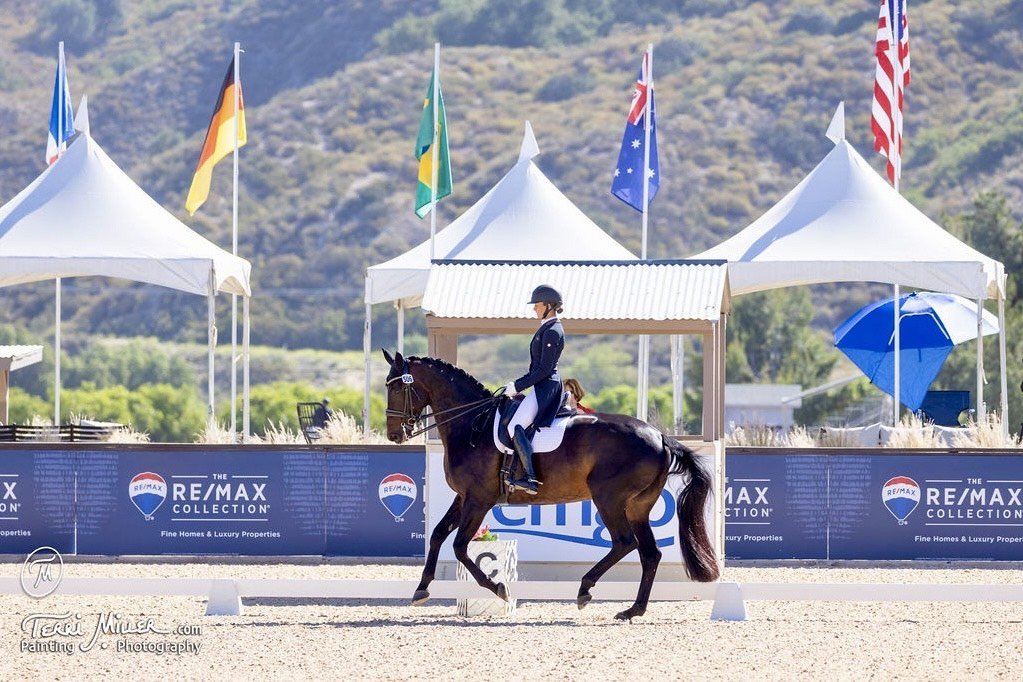 Luxury Equestrian Network