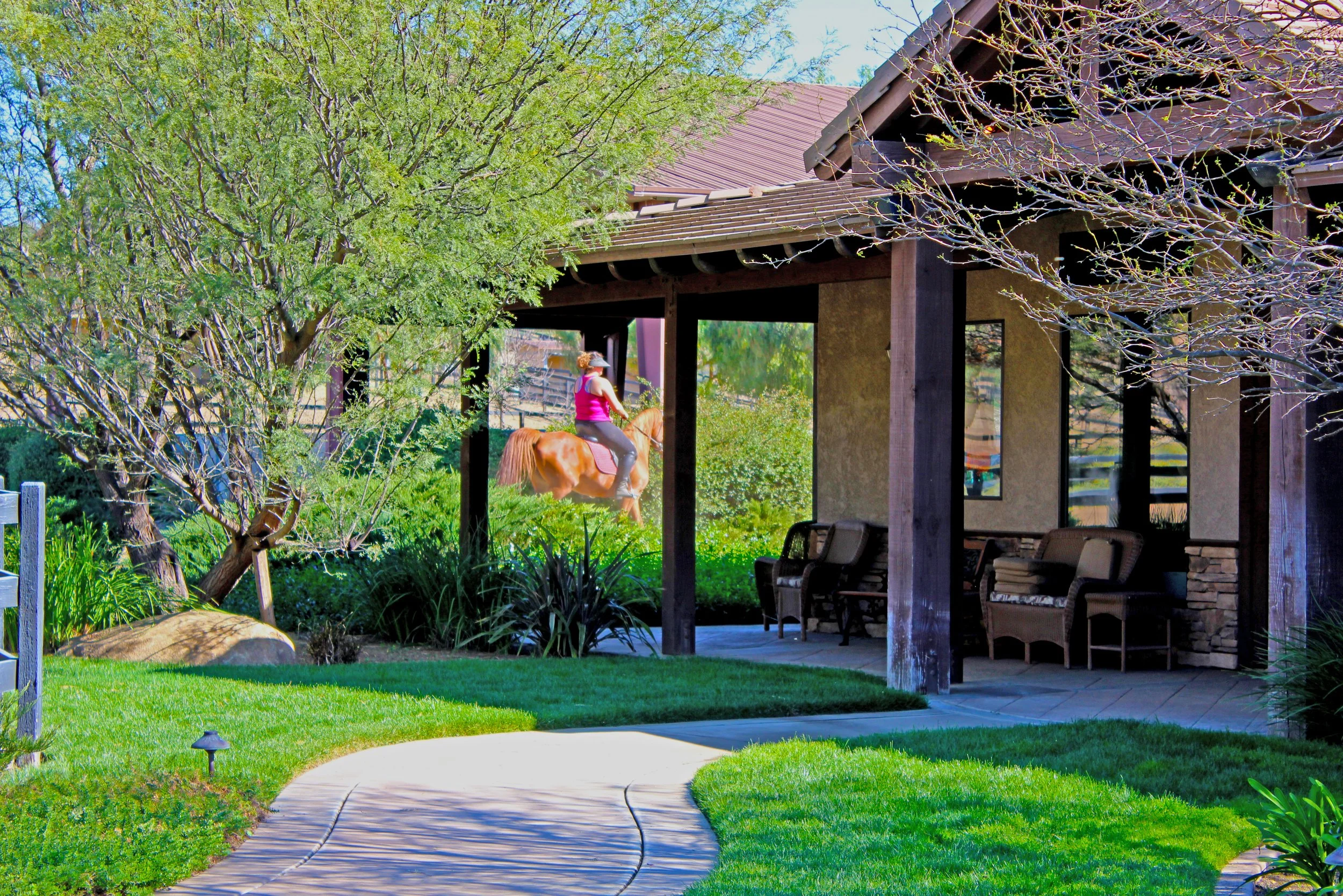 Luxury Equestrian Network