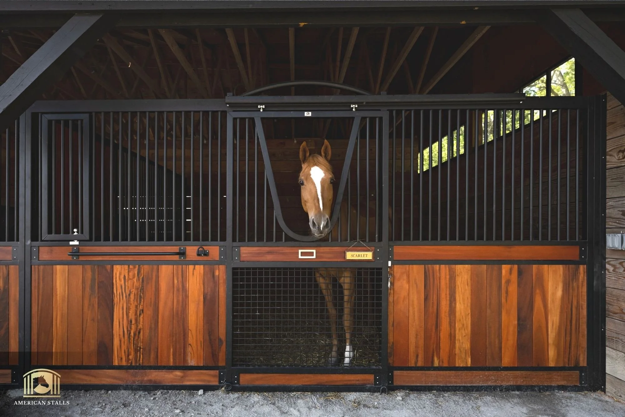 Luxury Equestrian Network