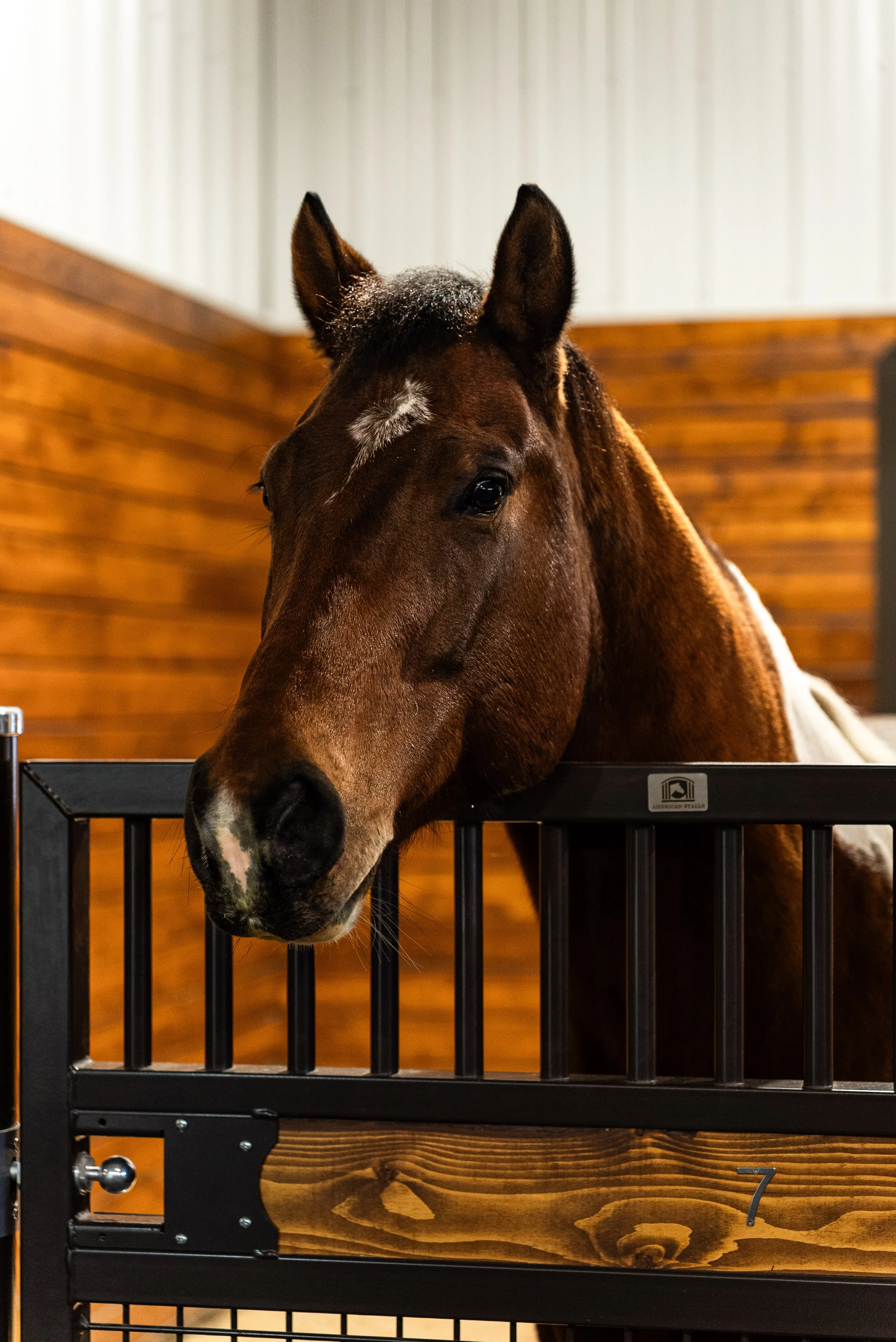 American Stalls Dream Barns — LUXURY EQUESTRIAN NETWORK