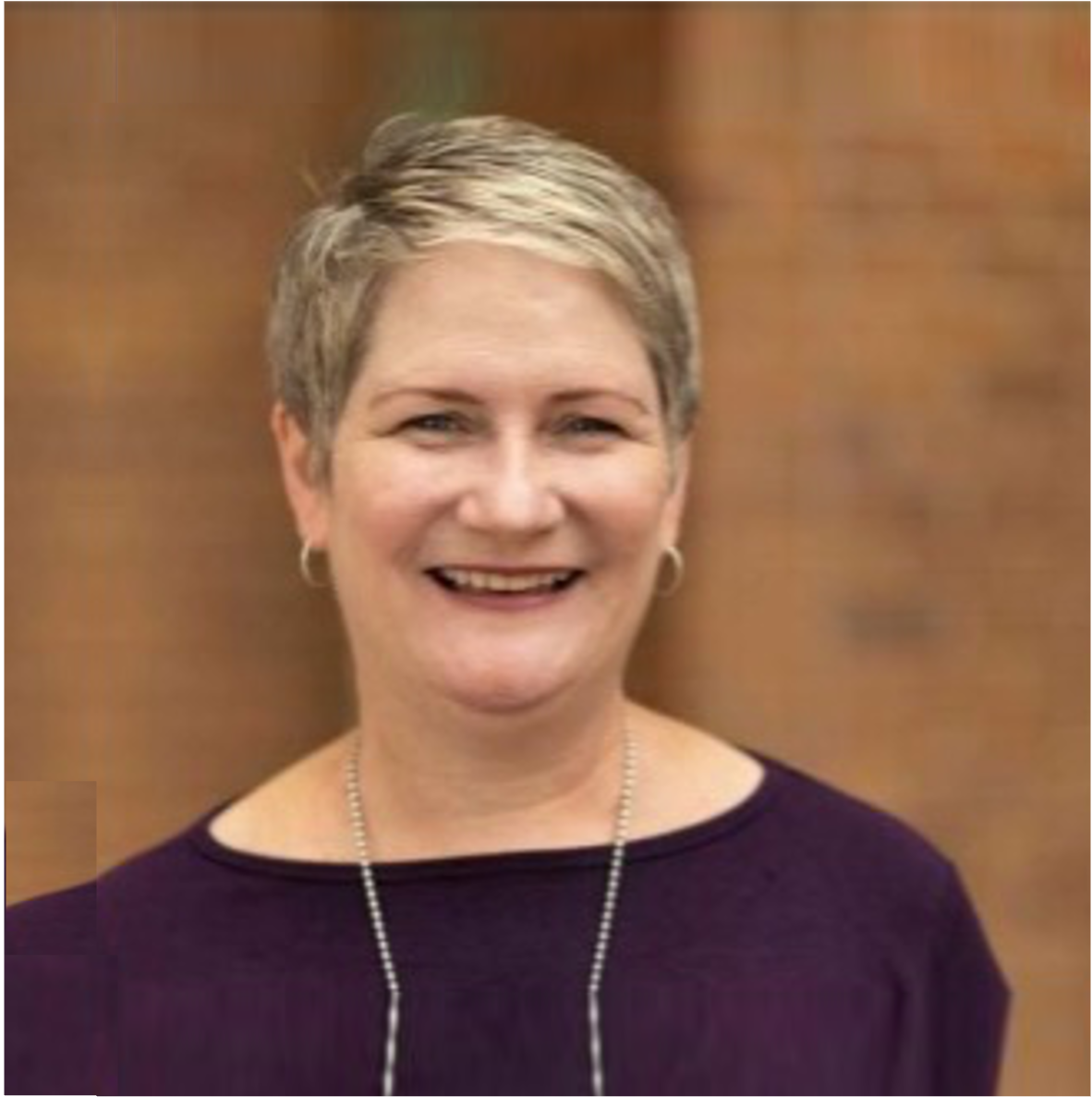 Expert Advisory Group — National Psychosocial Safety Network