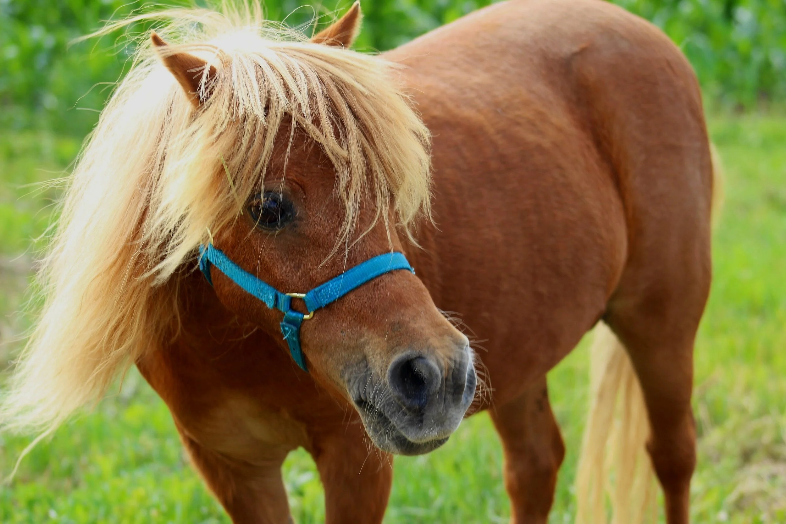Gallery: Beauty and Charm of Our Ranch in Freeport Minnesota - Van Beck ...