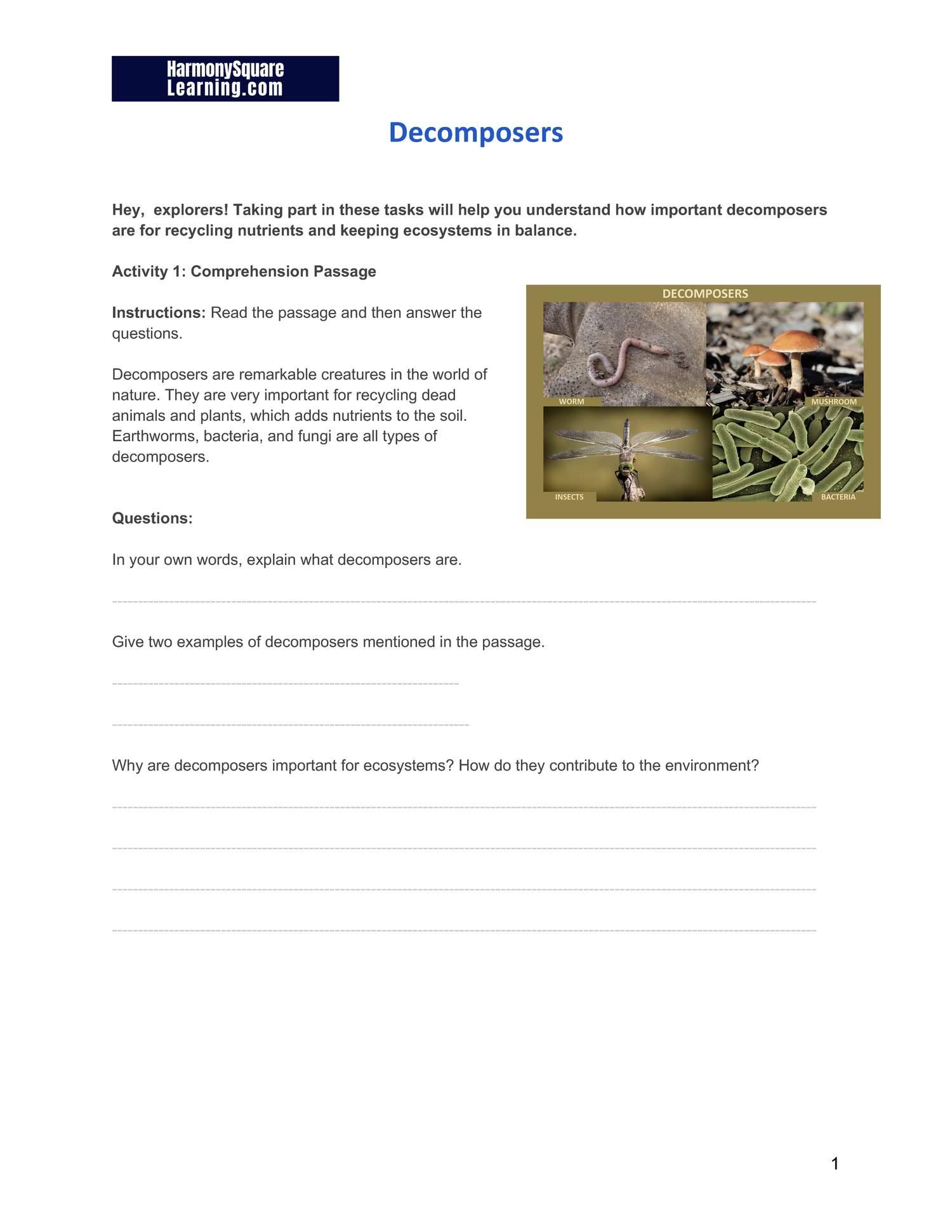 What are Decomposers? Video and Worksheets for Kids — Lumina Learning