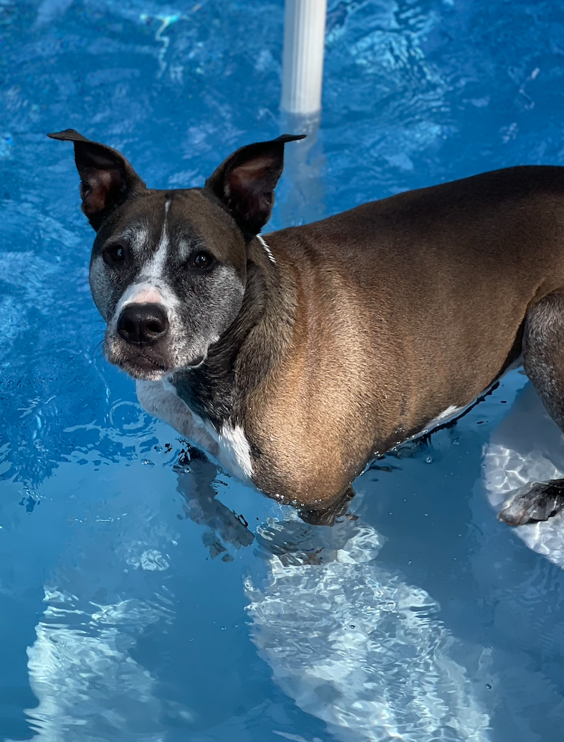 Our Story — Because of Roscoe