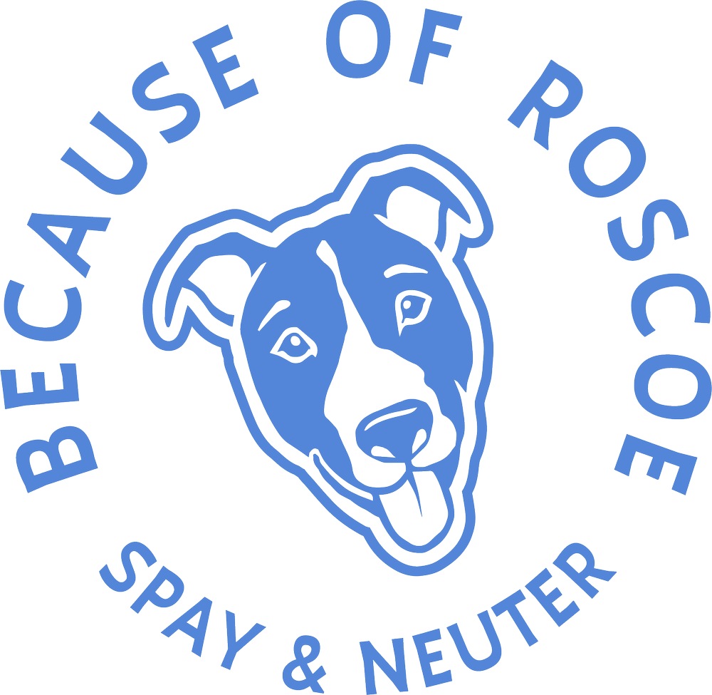 Because of Roscoe