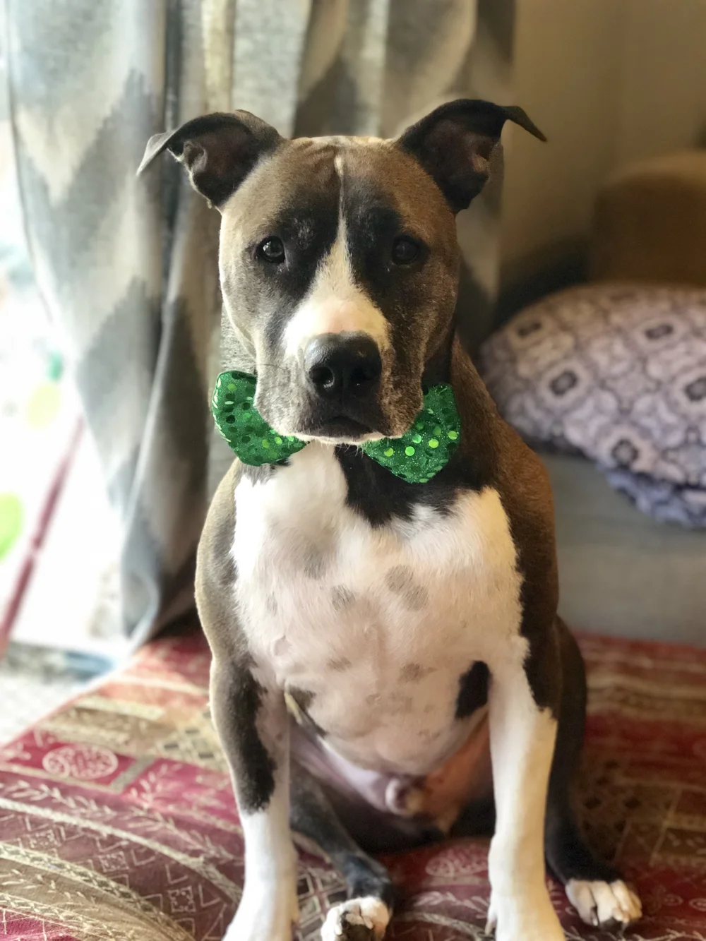 Our Story — Because of Roscoe