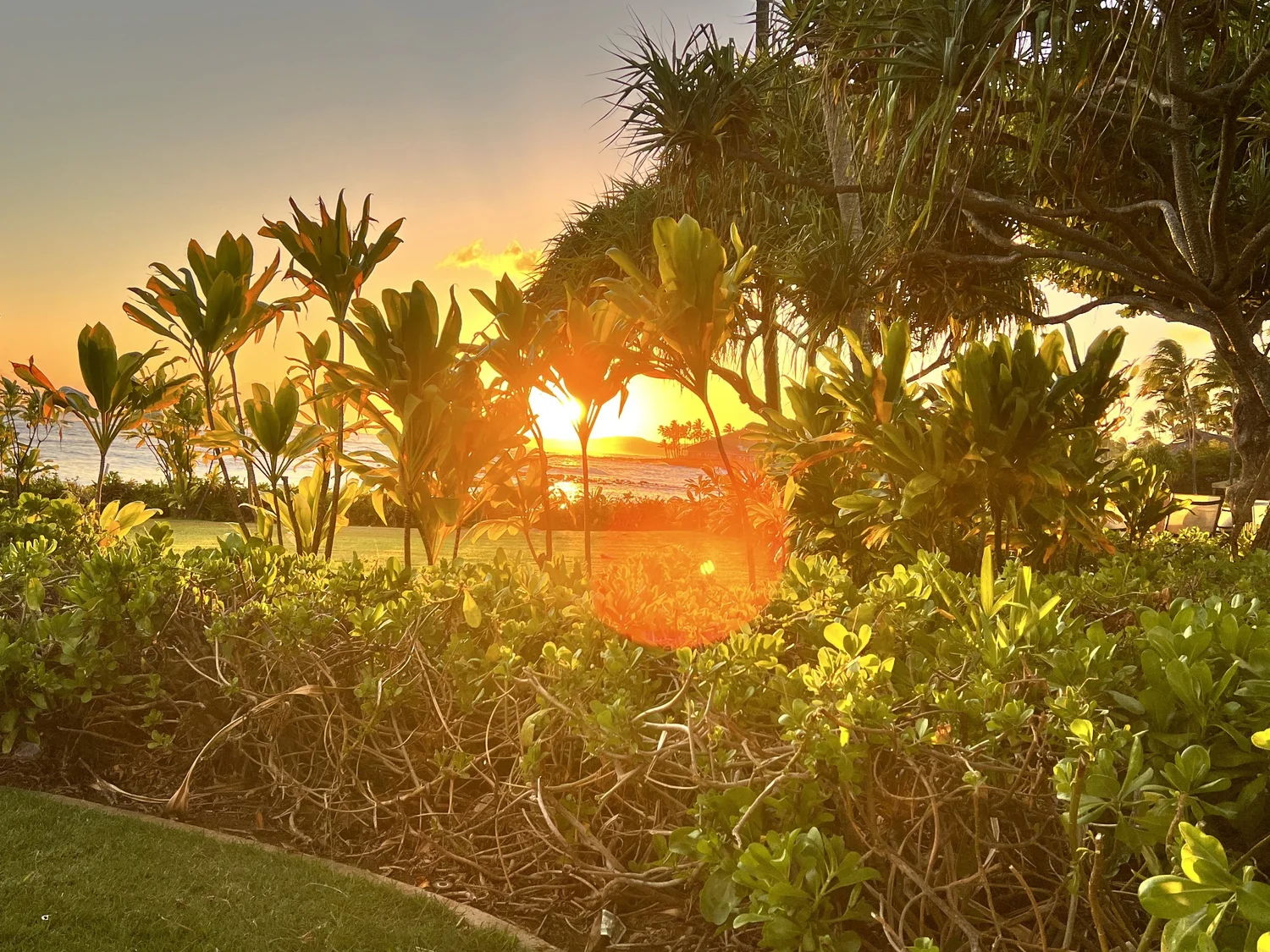 Beautifully Bombshell