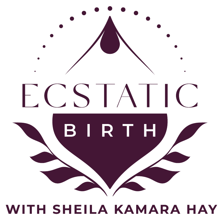 Ecstatic Birth | Case Study | Branding & Strategy | Flourish Online ...