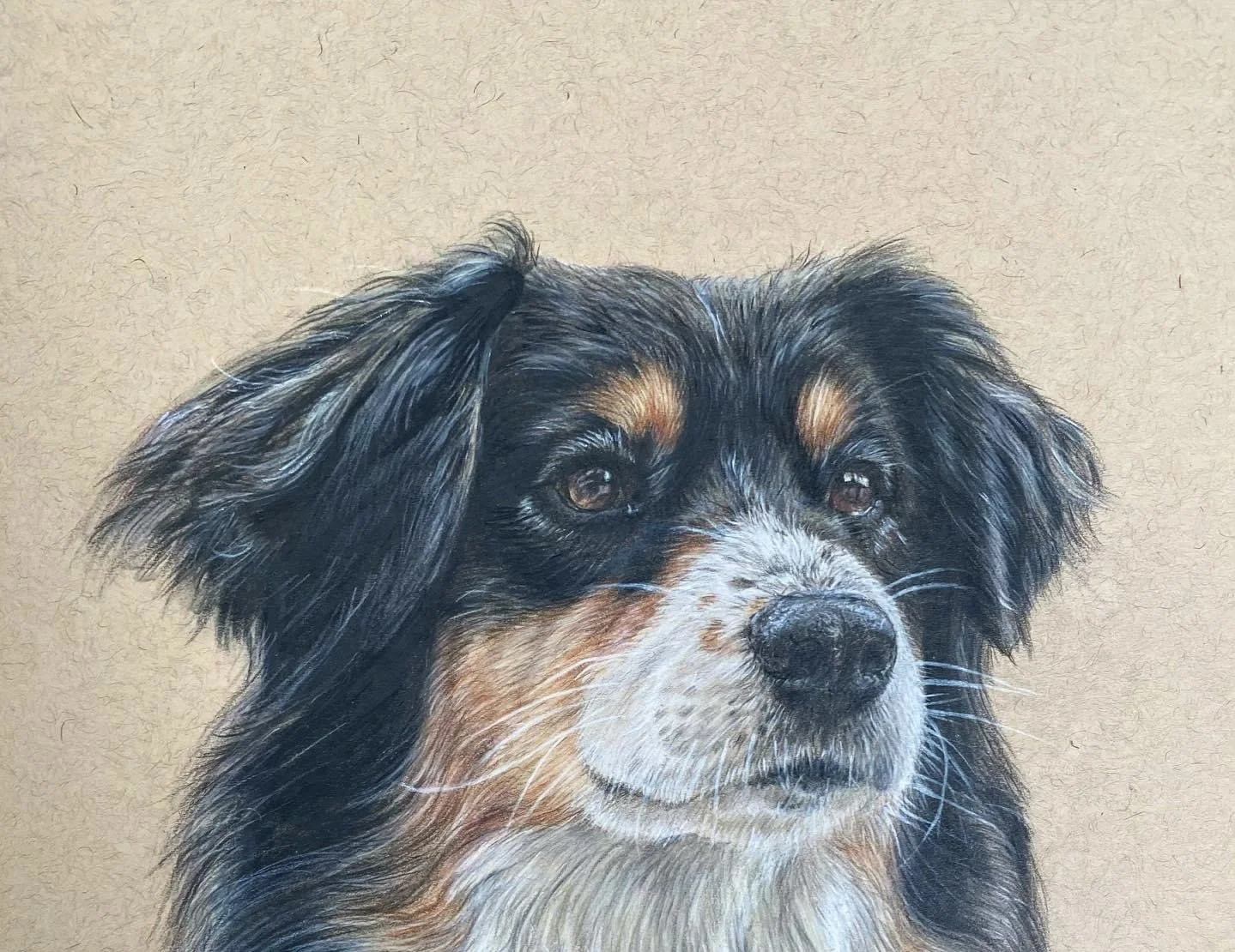 Darcy Porter Fine Art, Colour Pencil Artist.