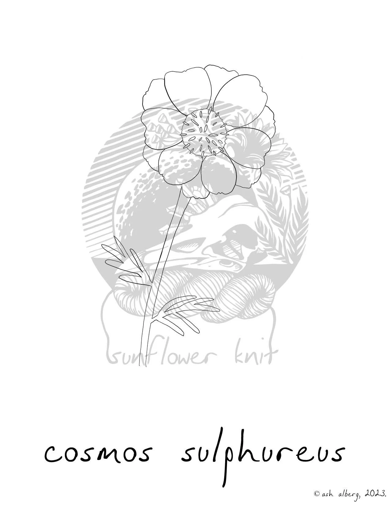 colouring page - indigo (persicaria tinctoria) — ash alberg | sunflower ...