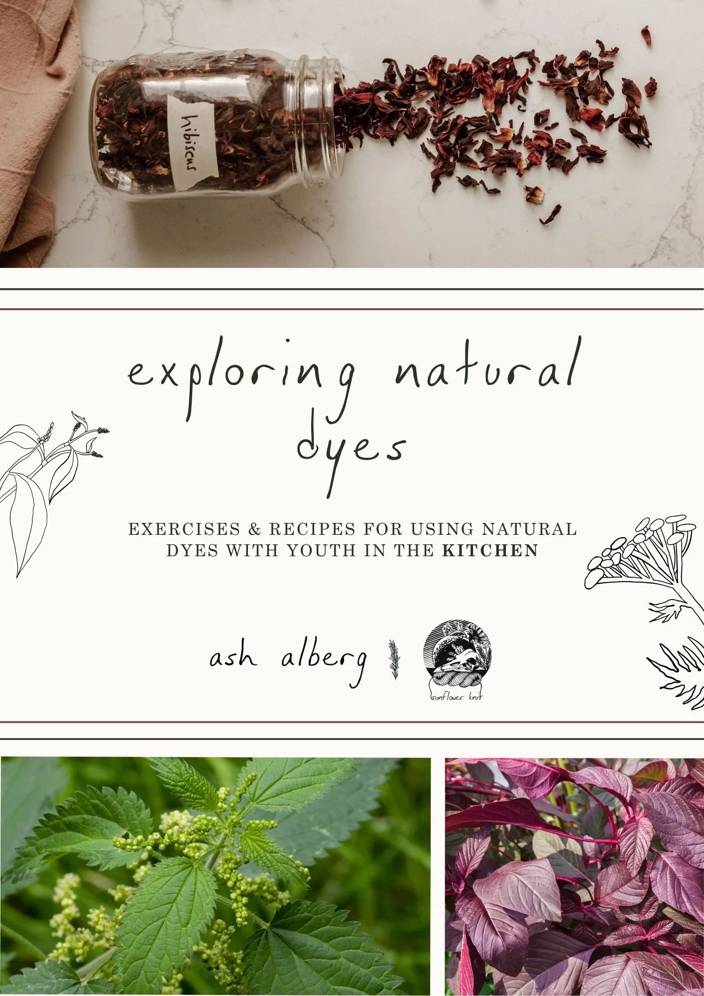 exploring natural dyes E-BOOK - kid-friendly exercises & recipes for ...