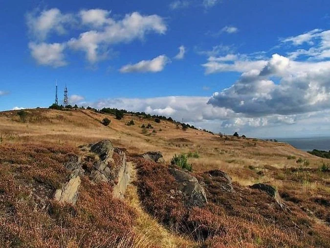 The BIG Climate Leap — Environment Centre Swansea