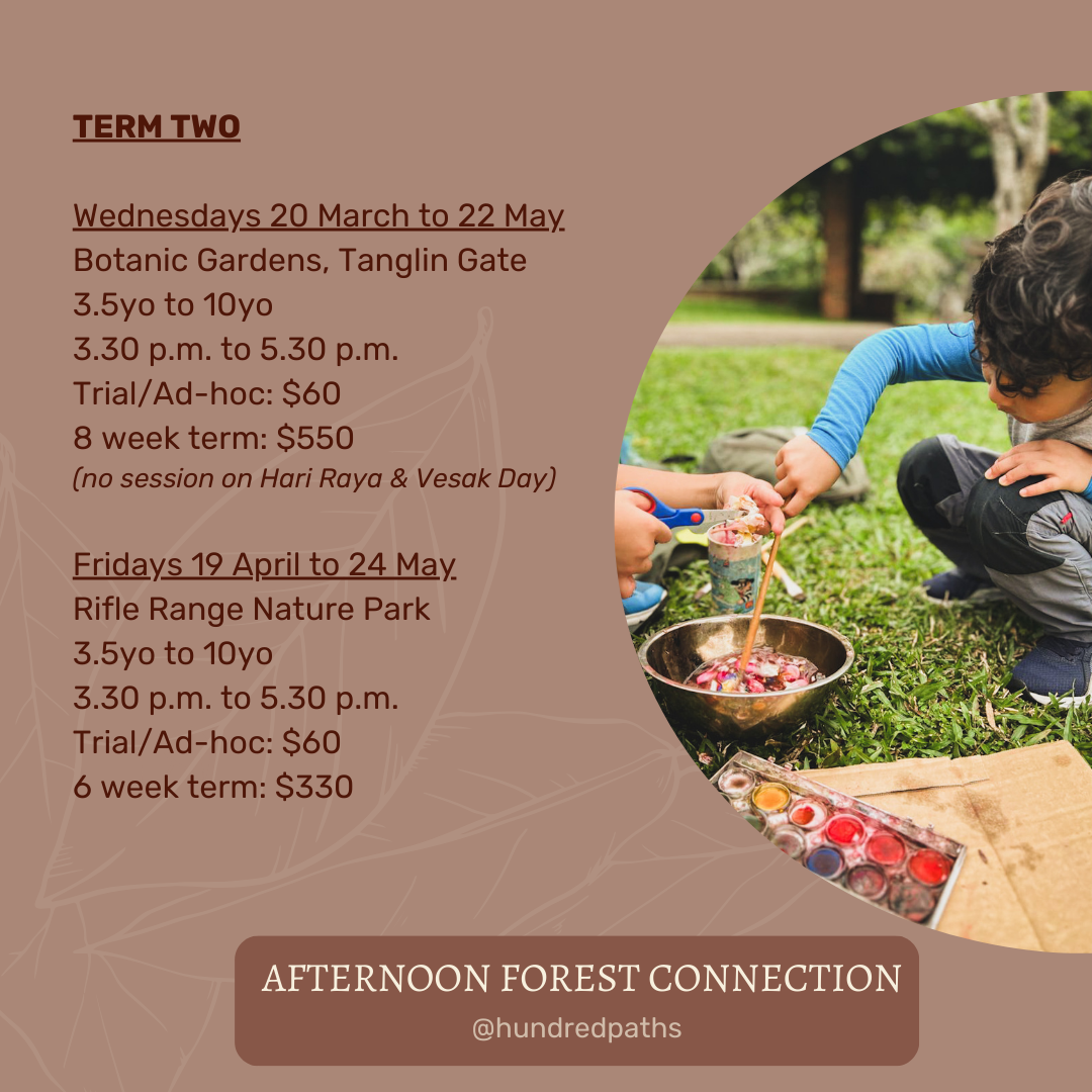 Afternoon Forest Connection — Hundred Paths