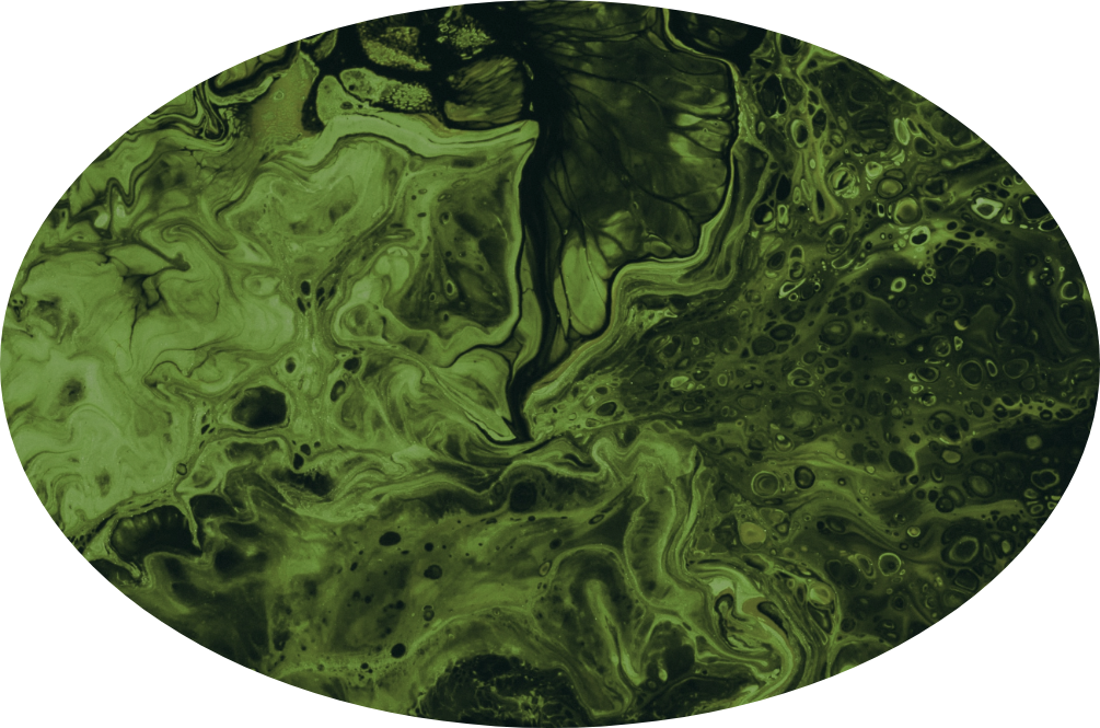 Microalgae — NeoEarth/ Biotech R&D Microalgae Strain Improvement