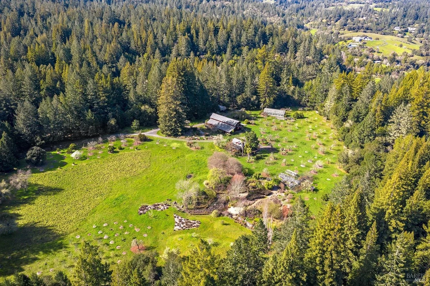 Mathew Carson Real Estate